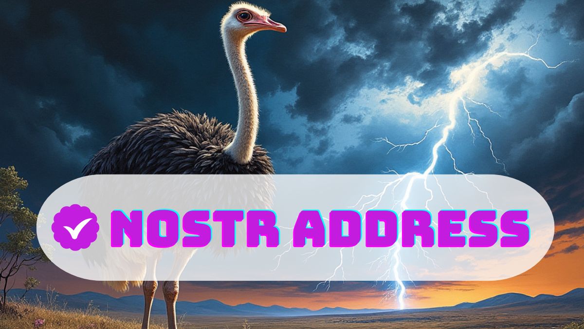 NIP-05 - Get Nostr NIP-05 verified. Custom subdomain NIP-05 address service